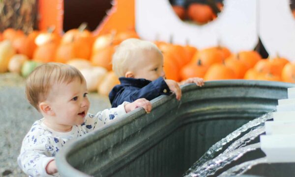 5 Fall Adventures You Can't Miss This Year With Toddlers | Joyful Messes